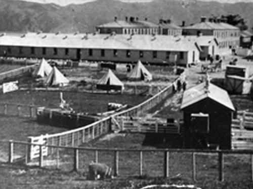 Island | Matiu Somes Island Charitable Trust MSICT